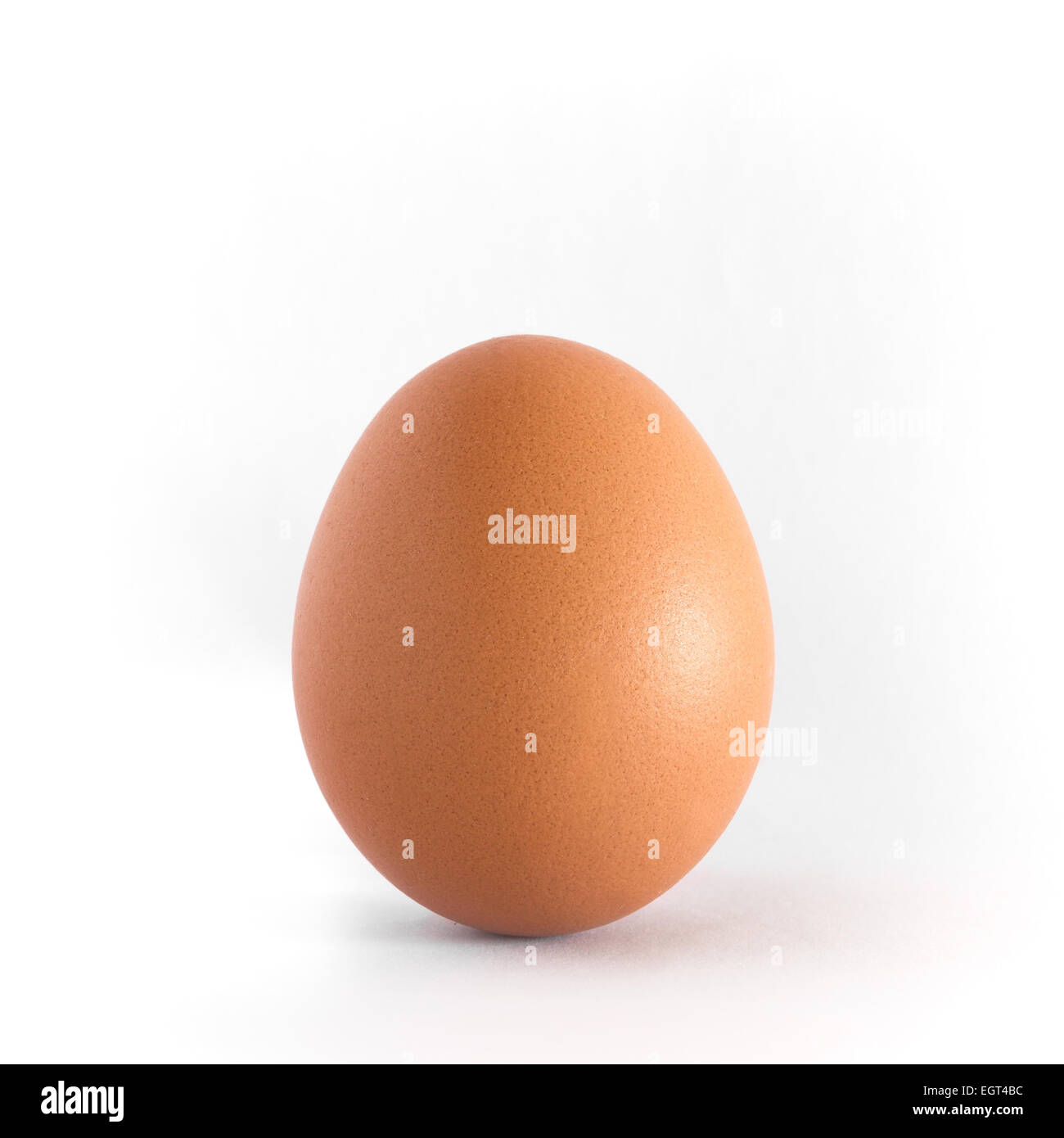 Single egg on white background vertical Stock Photo - Alamy