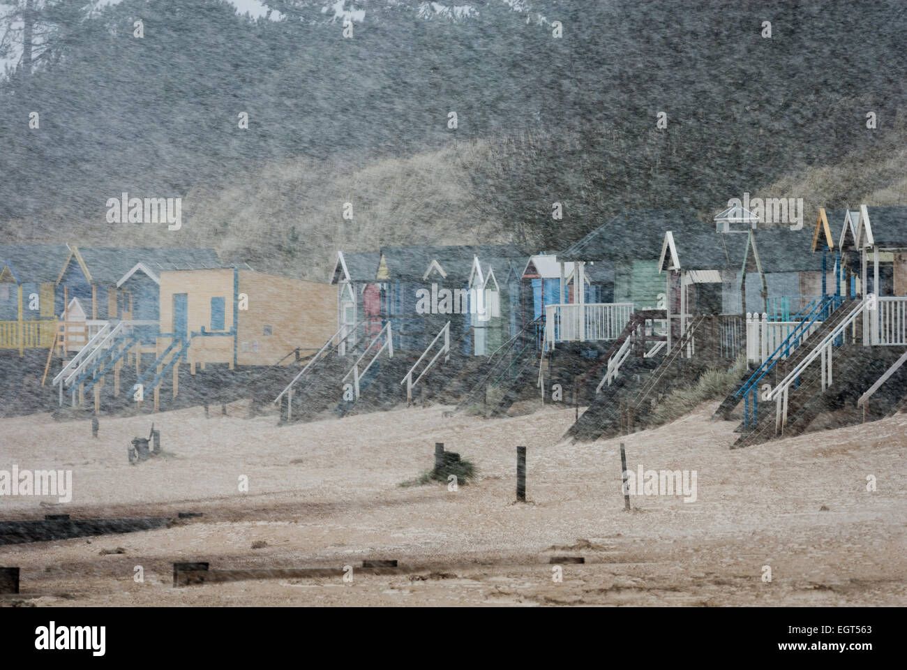 Wells-next-the-Sea beach, Norfolk, in a winter blizzard Stock Photo - Alamy