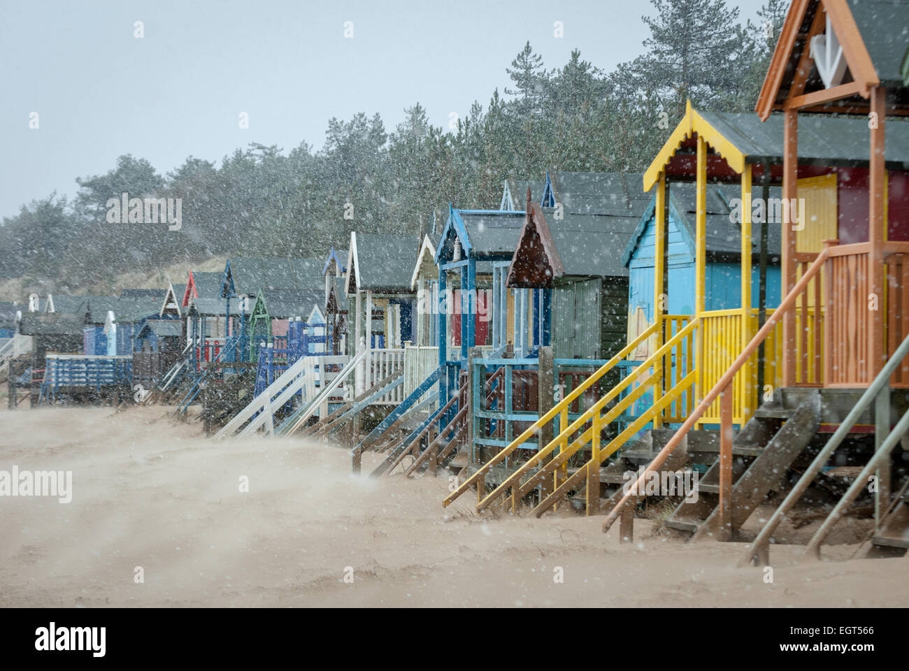 Wells-next-the-Sea beach, Norfolk, in a winter blizzard Stock Photo - Alamy
