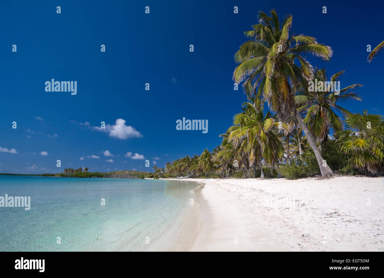 Caribbean beach, Isla Contoy, Quintana Roo, Mexico Stock Photo - Alamy