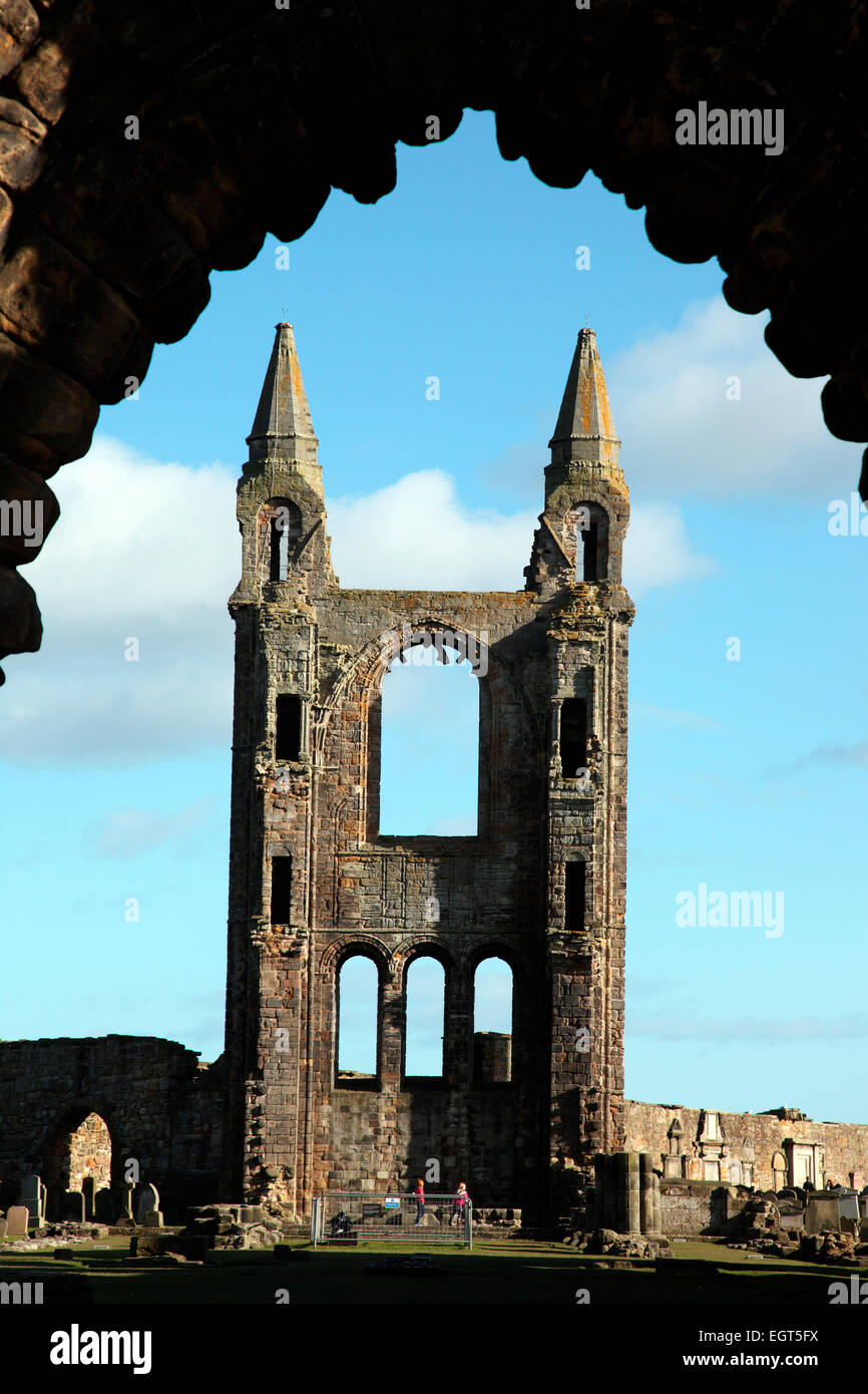 Ruins of St Andrews Cathedral, St Andrews Stock Photo - Alamy