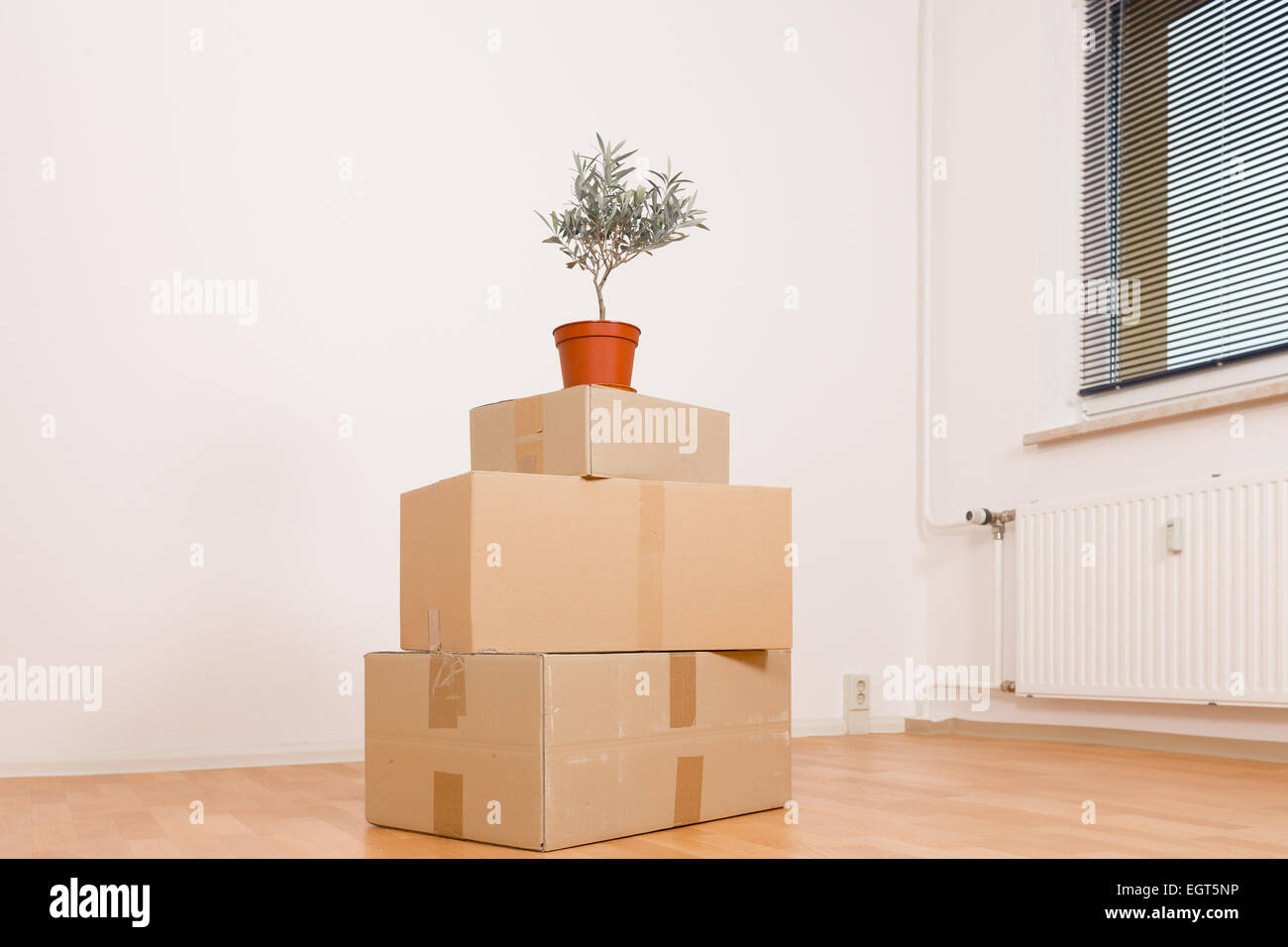 Empty cardboard boxes hi-res stock photography and images - Alamy