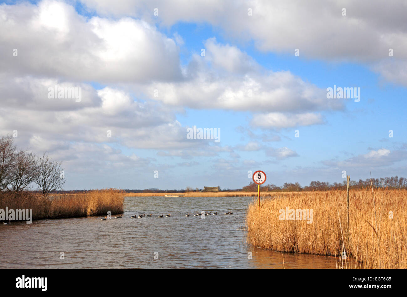 A view of Horsey Mere from the entrance to the Staithe on the Norfolk ...