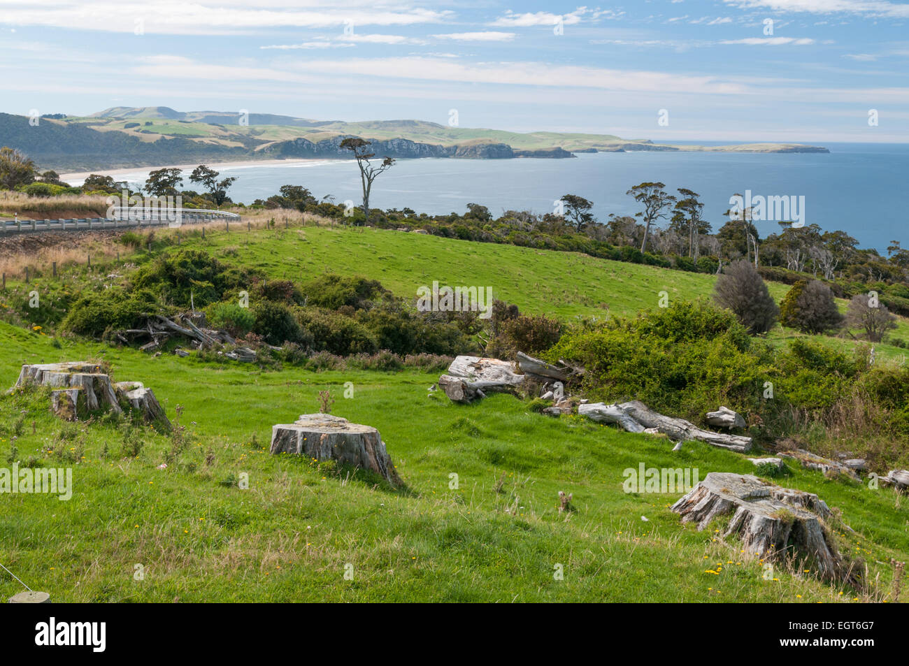 Tahakopa bay hi-res stock photography and images - Alamy