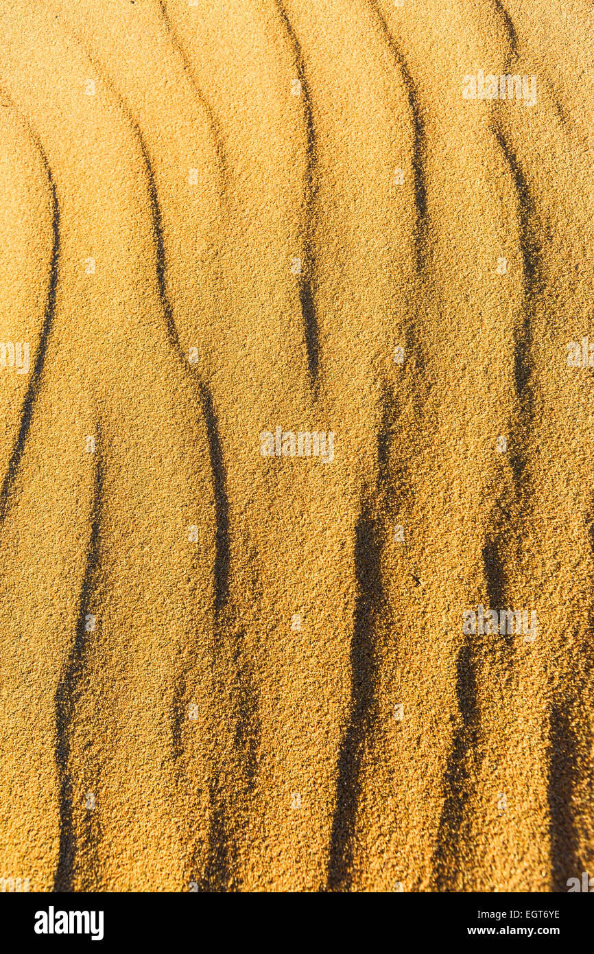 Wave pattern in the sand, Namib Desert, Namibia Stock Photo - Alamy