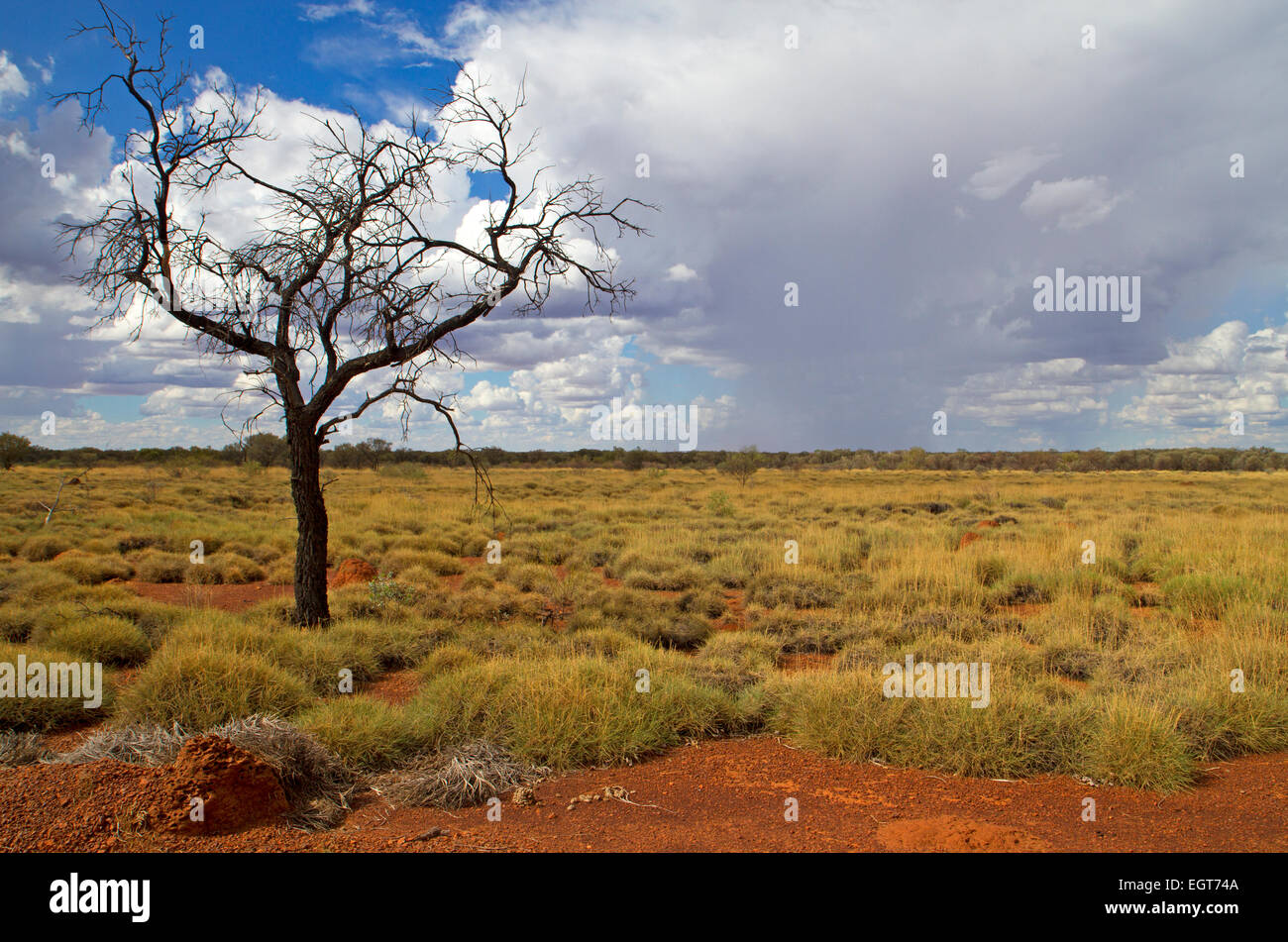 Queensland outback hi-res stock photography and images - Alamy