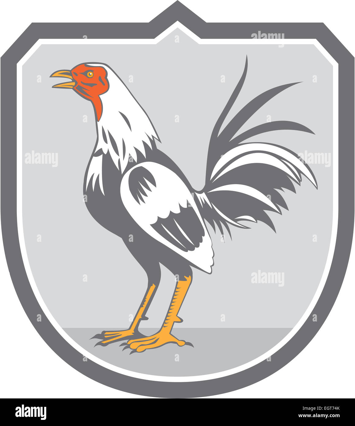 Illustration of a rooster cockerel standing facing side set inside ...