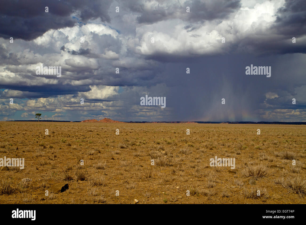Rain squall over the Queensland outback Stock Photo - Alamy
