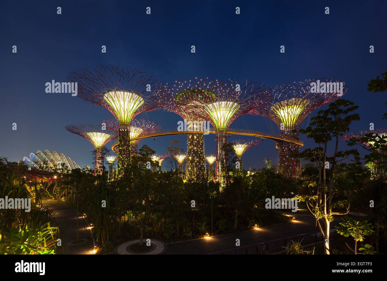 Supertrees lit at night in Gardens by the Bay in Singapore Stock Photo ...