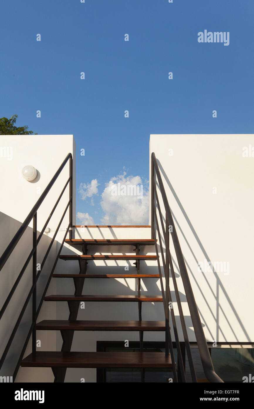 Steps access to roof terrace in Mandai Courtyard House in Singapore ...