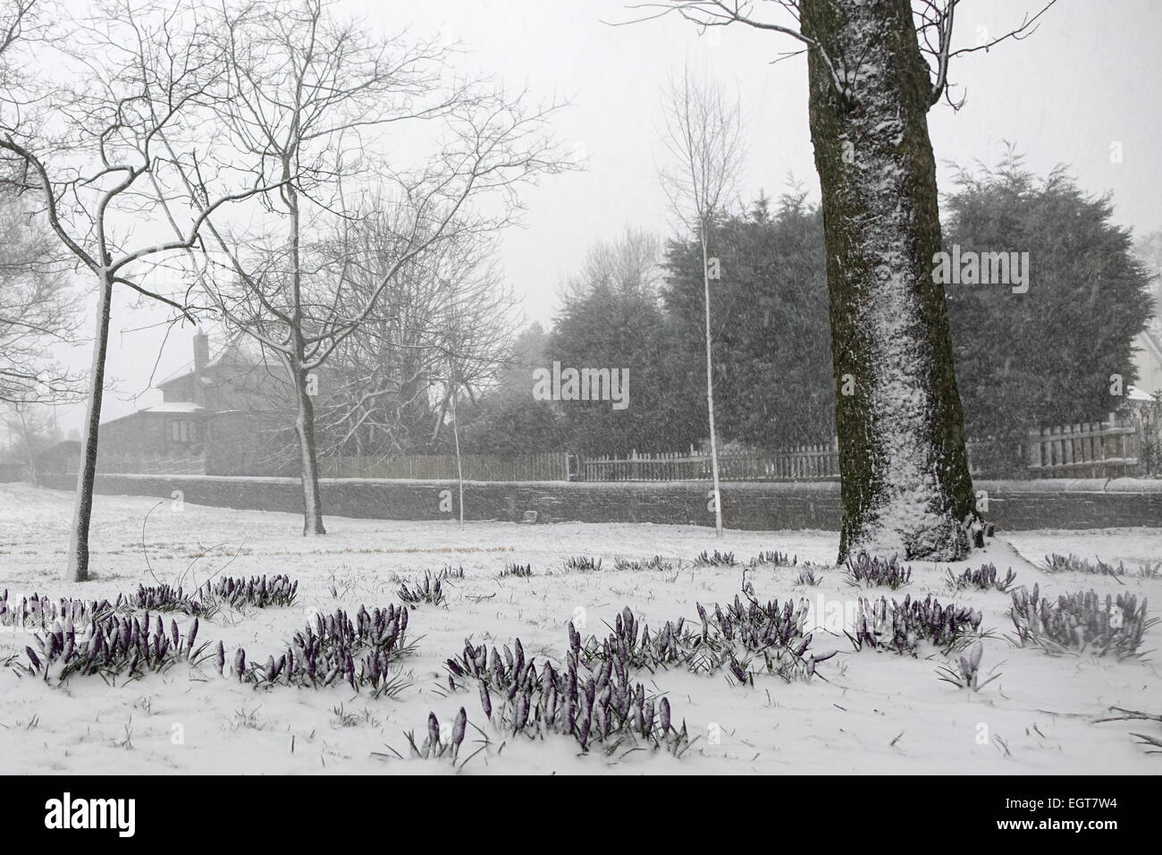 Wibsey bradford hi-res stock photography and images - Alamy