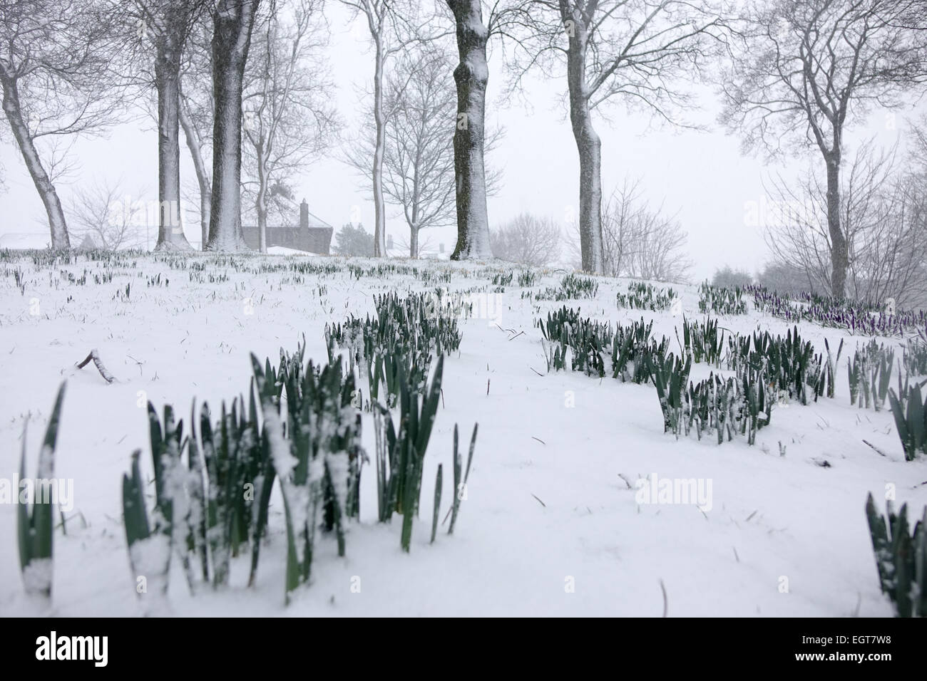 Bradford west yorkshire uk 2nd hi-res stock photography and images - Alamy