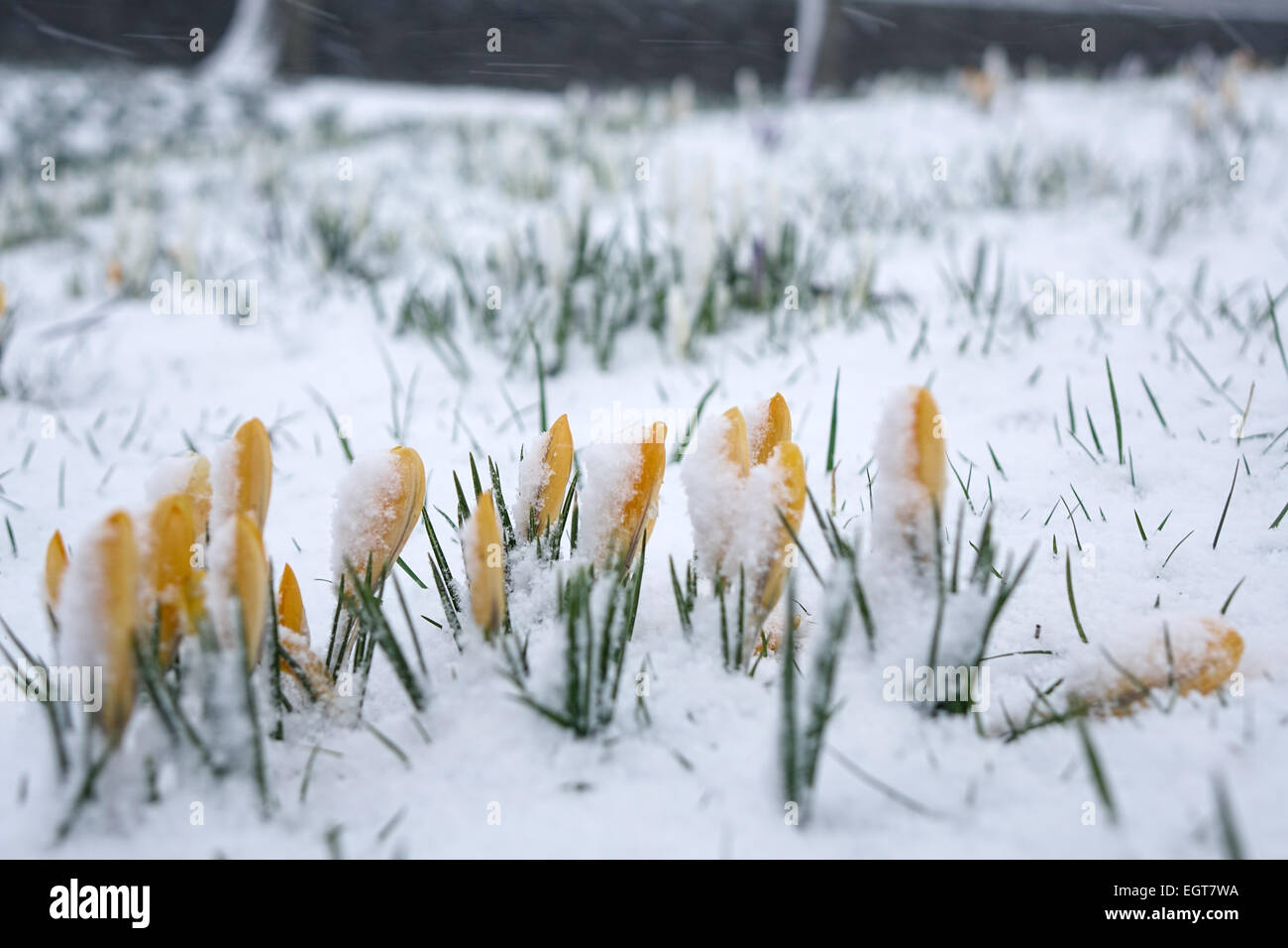 Bradford west yorkshire uk 2nd hi-res stock photography and images - Alamy