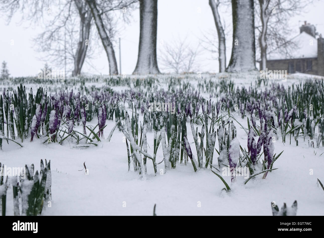 Bradford west yorkshire uk 2nd hi-res stock photography and images - Alamy