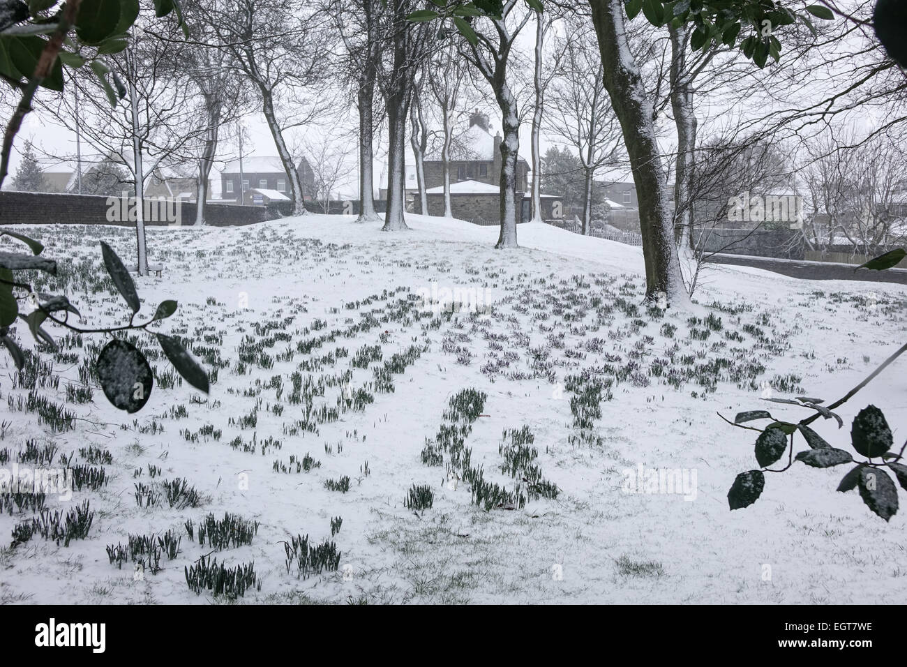 Bradford west yorkshire uk 2nd hi-res stock photography and images - Alamy