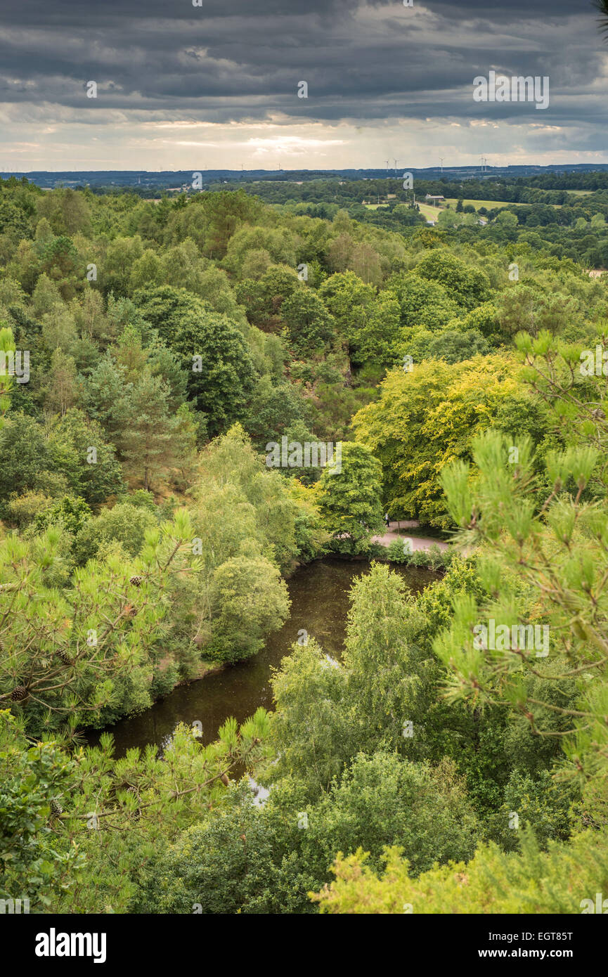 Forest of Paimpont, mythical forest of Broceliande, August 2014: wooded ...