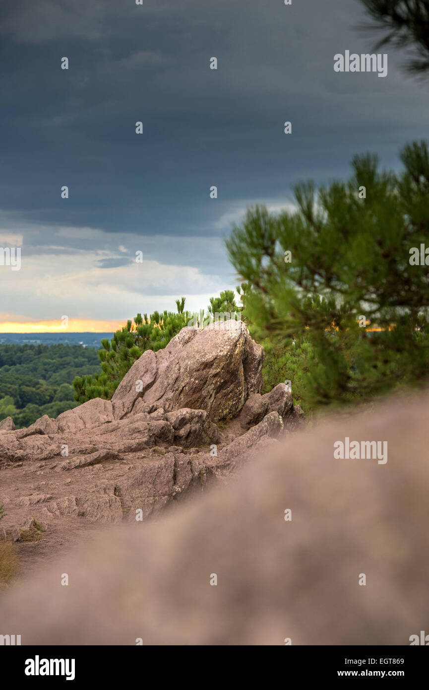 Forest of Paimpont, mythical forest of Broceliande, August 2014: wooded ...