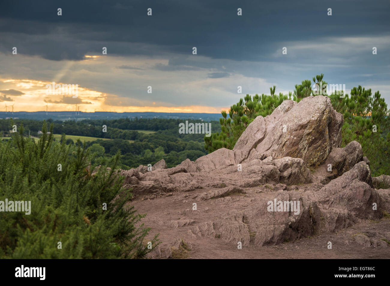 Forest of Paimpont, mythical forest of Broceliande, August 2014: wooded ...