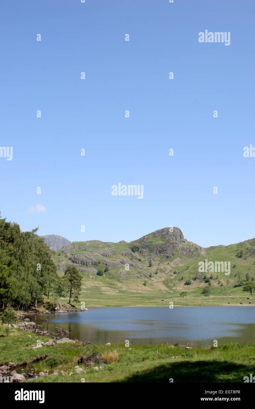 Side pike hi-res stock photography and images - Alamy