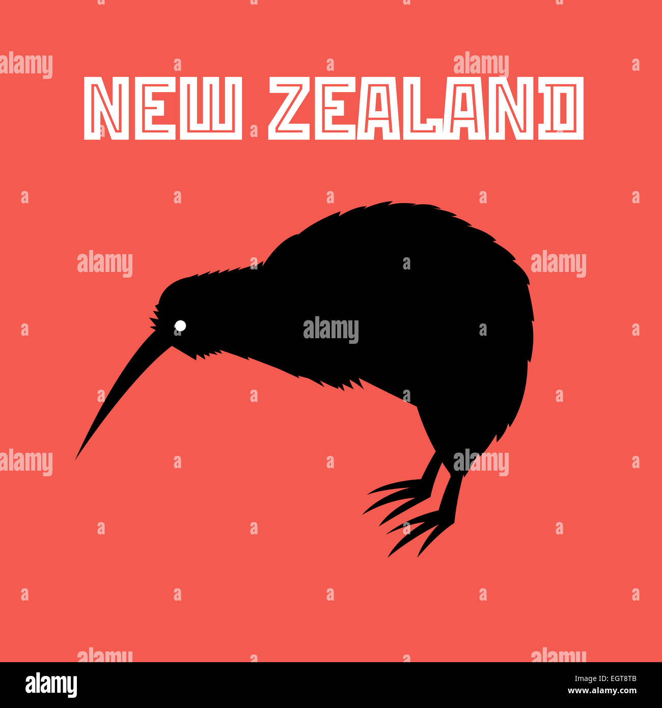 Kiwi bird cute hi-res stock photography and images - Alamy
