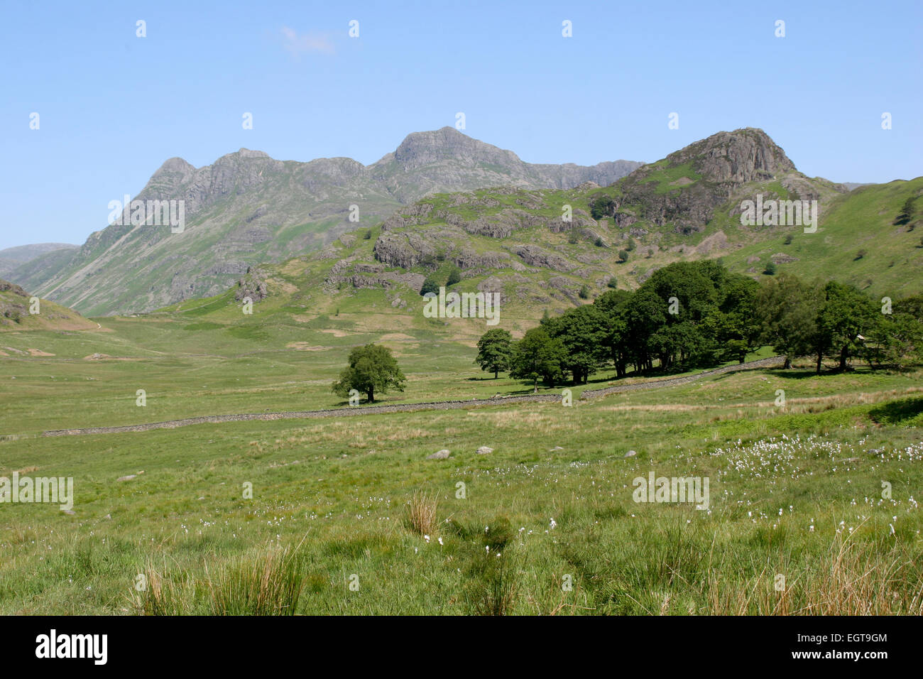 Side pike hi-res stock photography and images - Alamy