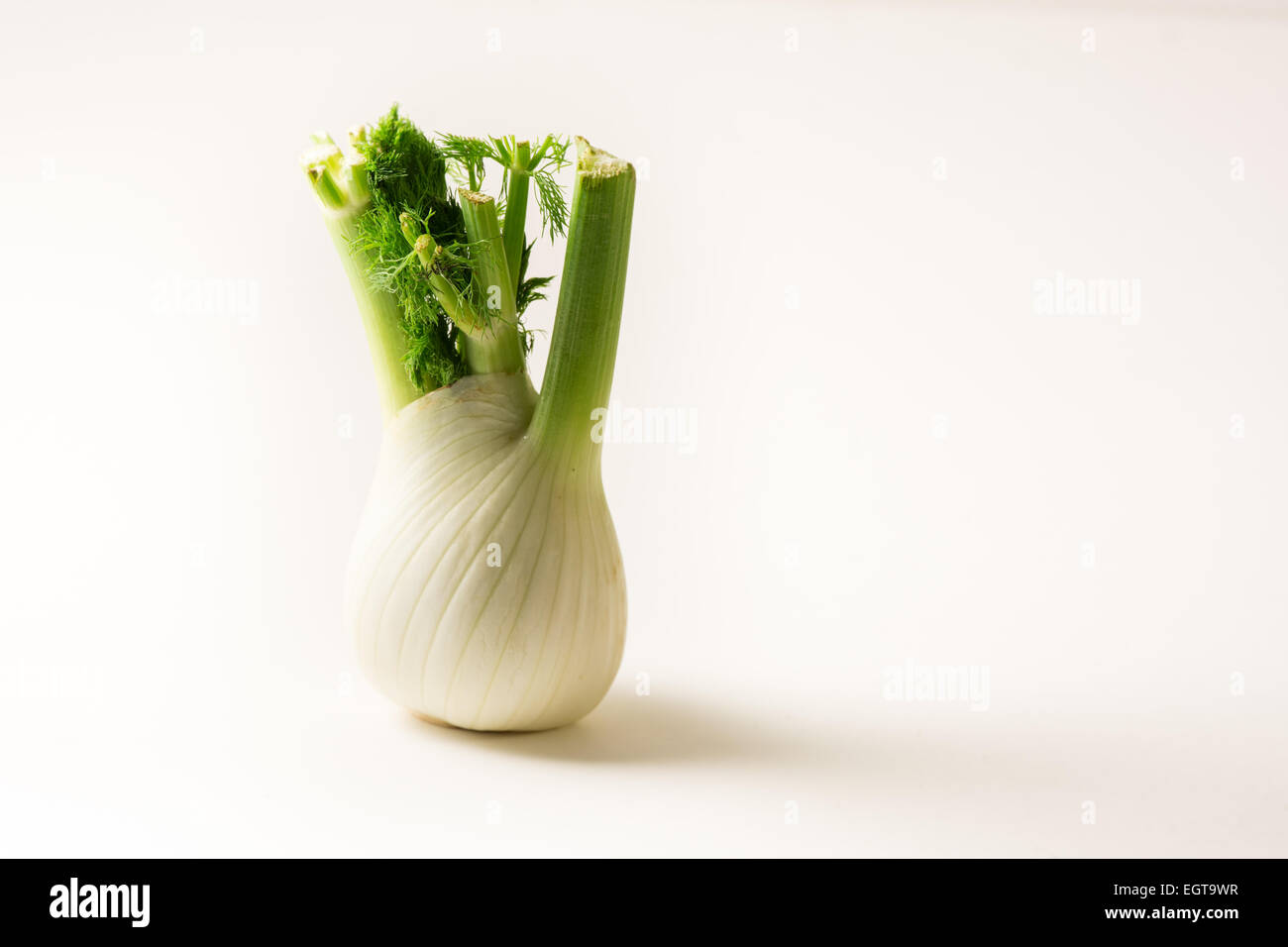 Fennel bulb hi-res stock photography and images - Alamy