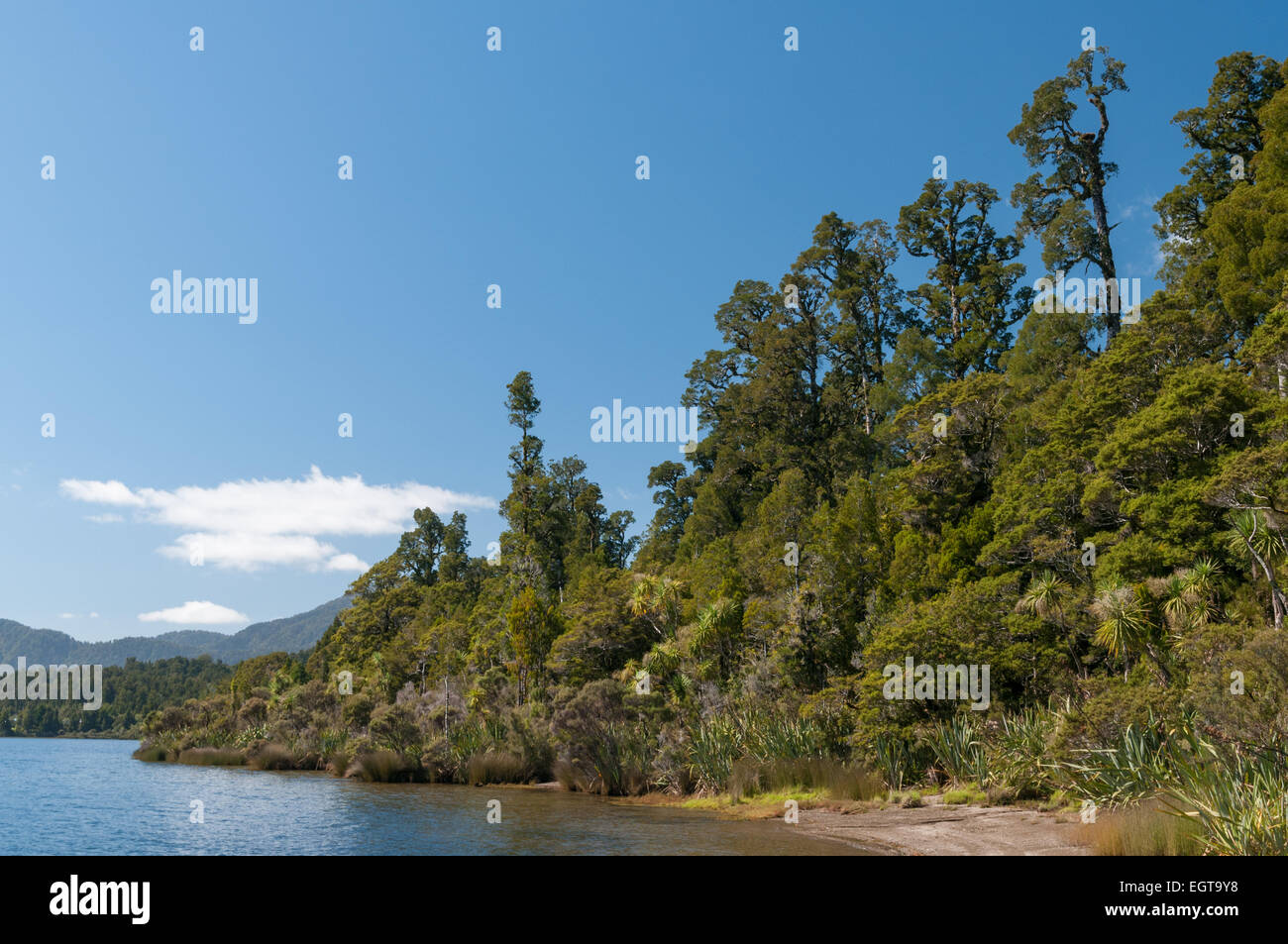 Lake Paringa, West Coast, South Island, New Zealand Stock Photo - Alamy