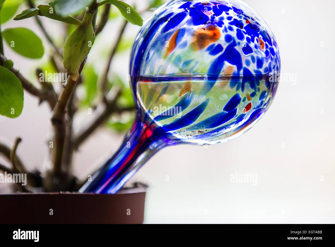 Drip feed watering hi-res stock photography and images - Alamy