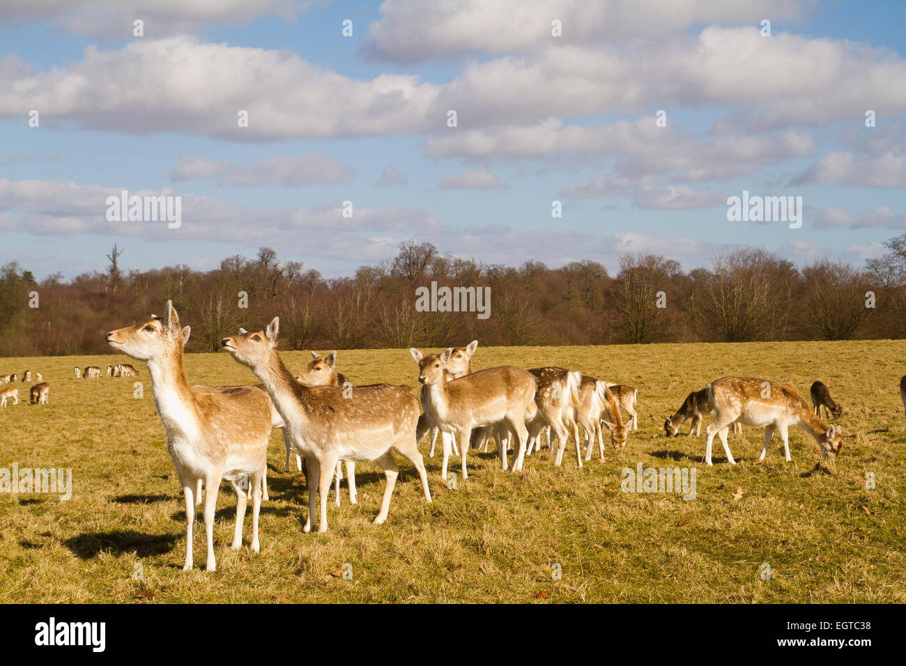 Sevenoaks countryside hi-res stock photography and images - Alamy