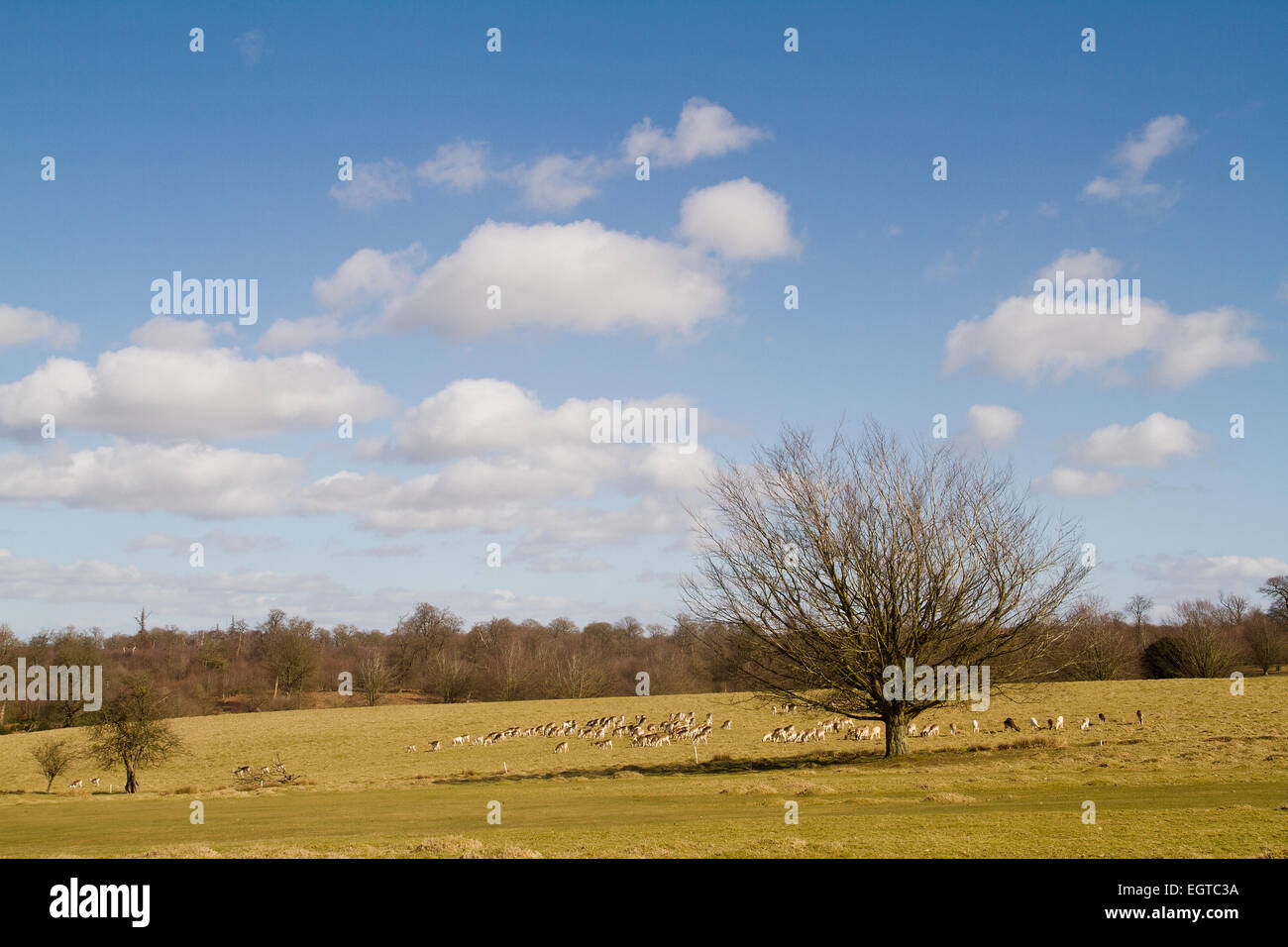 Kent countryside uk winter hi-res stock photography and images - Alamy