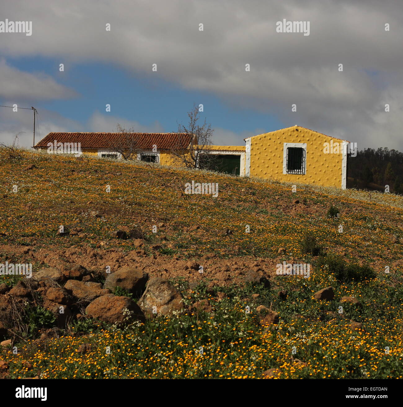 Cottage door flowers gate hi-res stock photography and images - Alamy