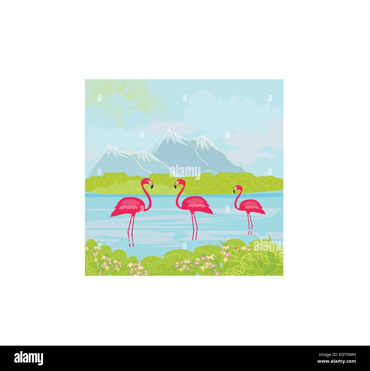 Group flamingos Cut Out Stock Images & Pictures - Alamy