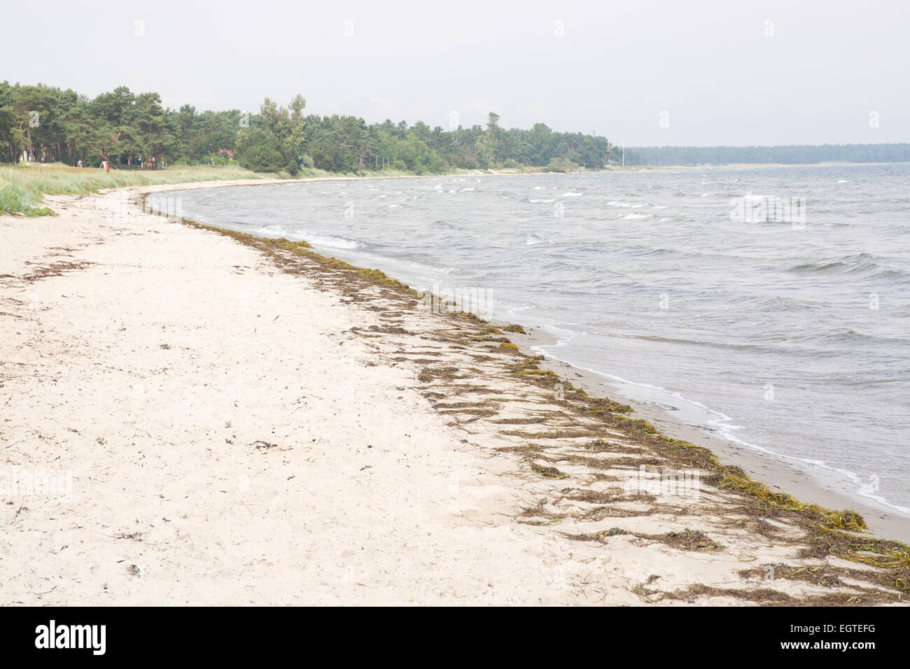 Sandy beach with seaweed, Ahus, Sweden Stock Photo - Alamy