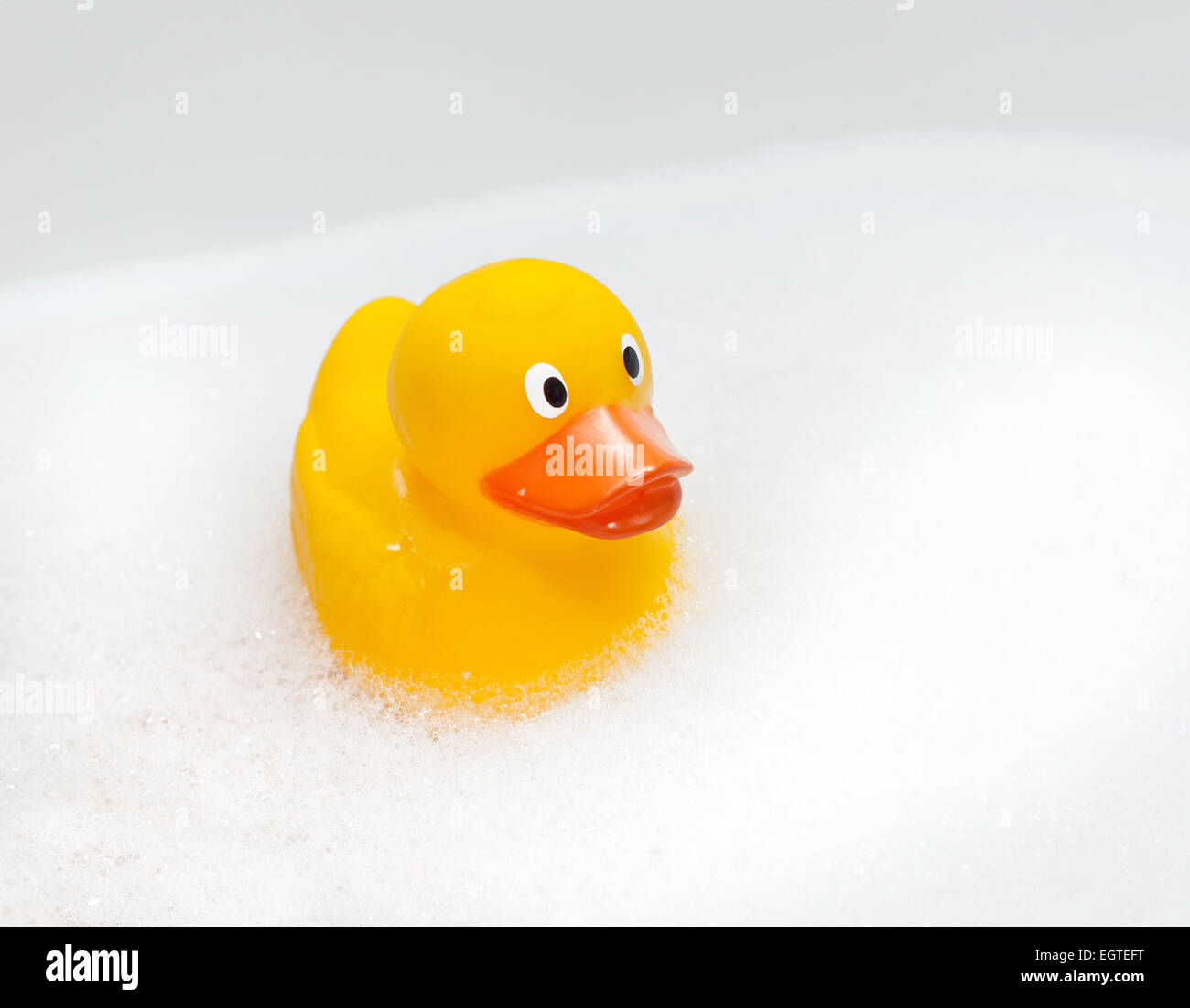 Cute rubber duck floating in suds isolated with copy space Stock Photo ...