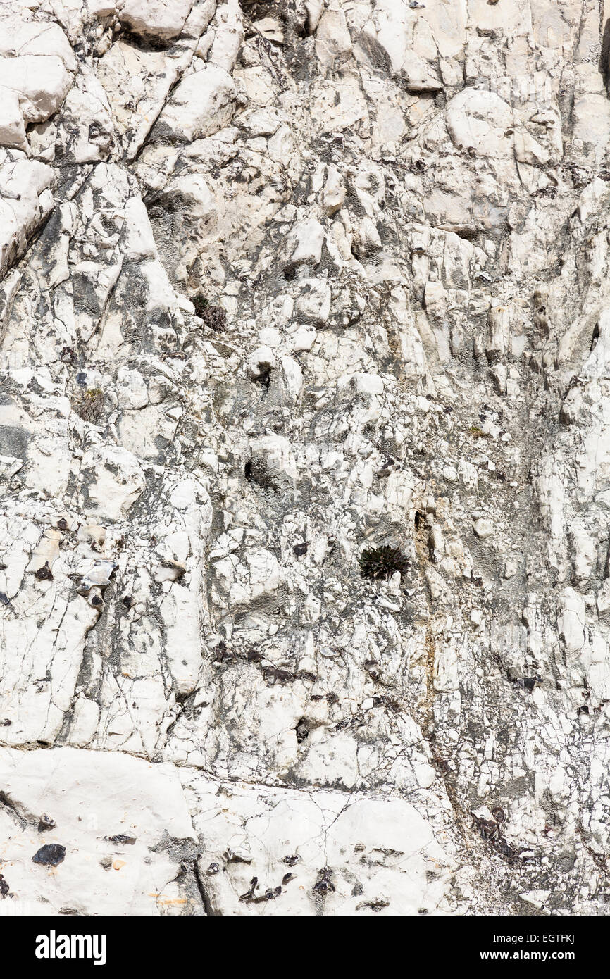 Close-up of one of the Seven Sisters chalk cliffs, showing the layers ...