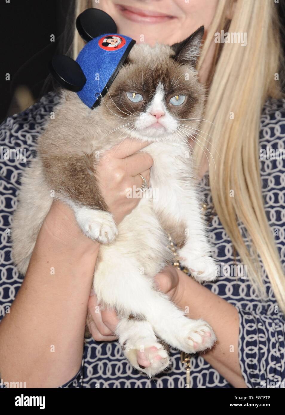 Grumpy Cat at arrivals for CINDERELLA Premiere, El Capitan Theatre, Los ...