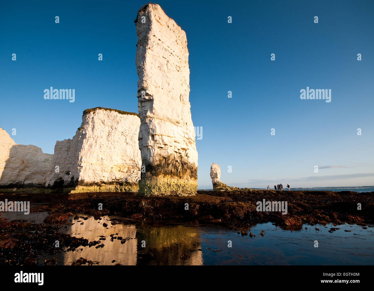 Old Harry Rocks, Purbeck Coast, Dorset Stock Photo - Alamy
