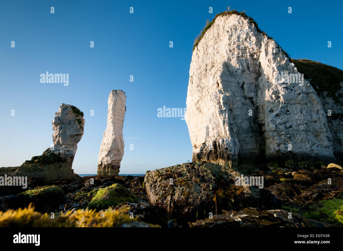 Old harrys rock purbeck hi-res stock photography and images - Alamy