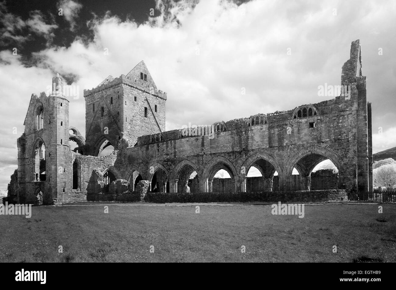 Lady devorgilla Black and White Stock Photos & Images - Alamy