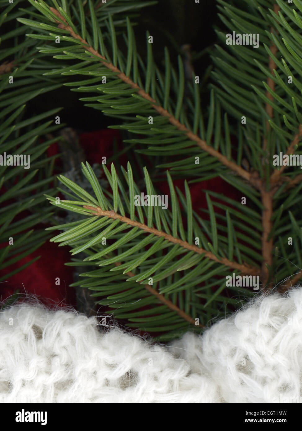 Spruce still life with white knitted background Stock Photo - Alamy