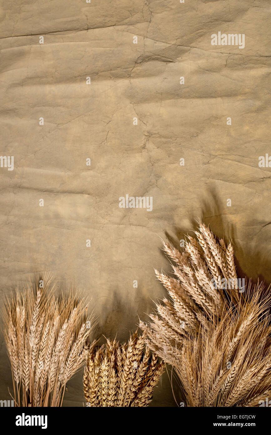 brown background with sheaf of wheat and barley Stock Photo - Alamy