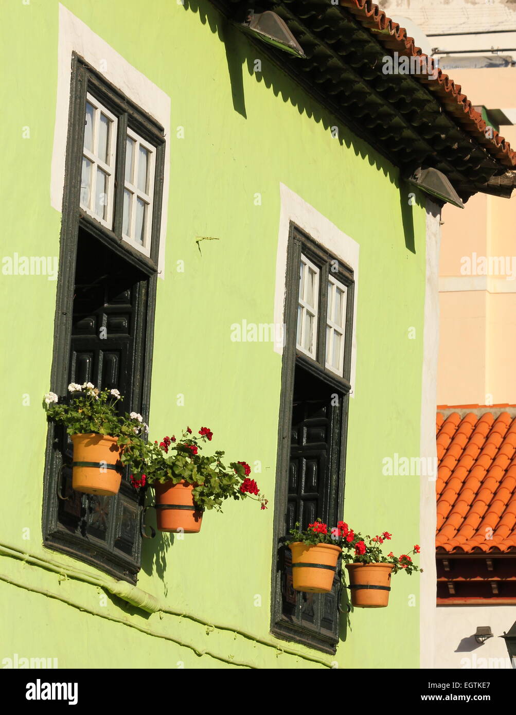 Old Green casement window. Old cottage window whitewashed cottage ...