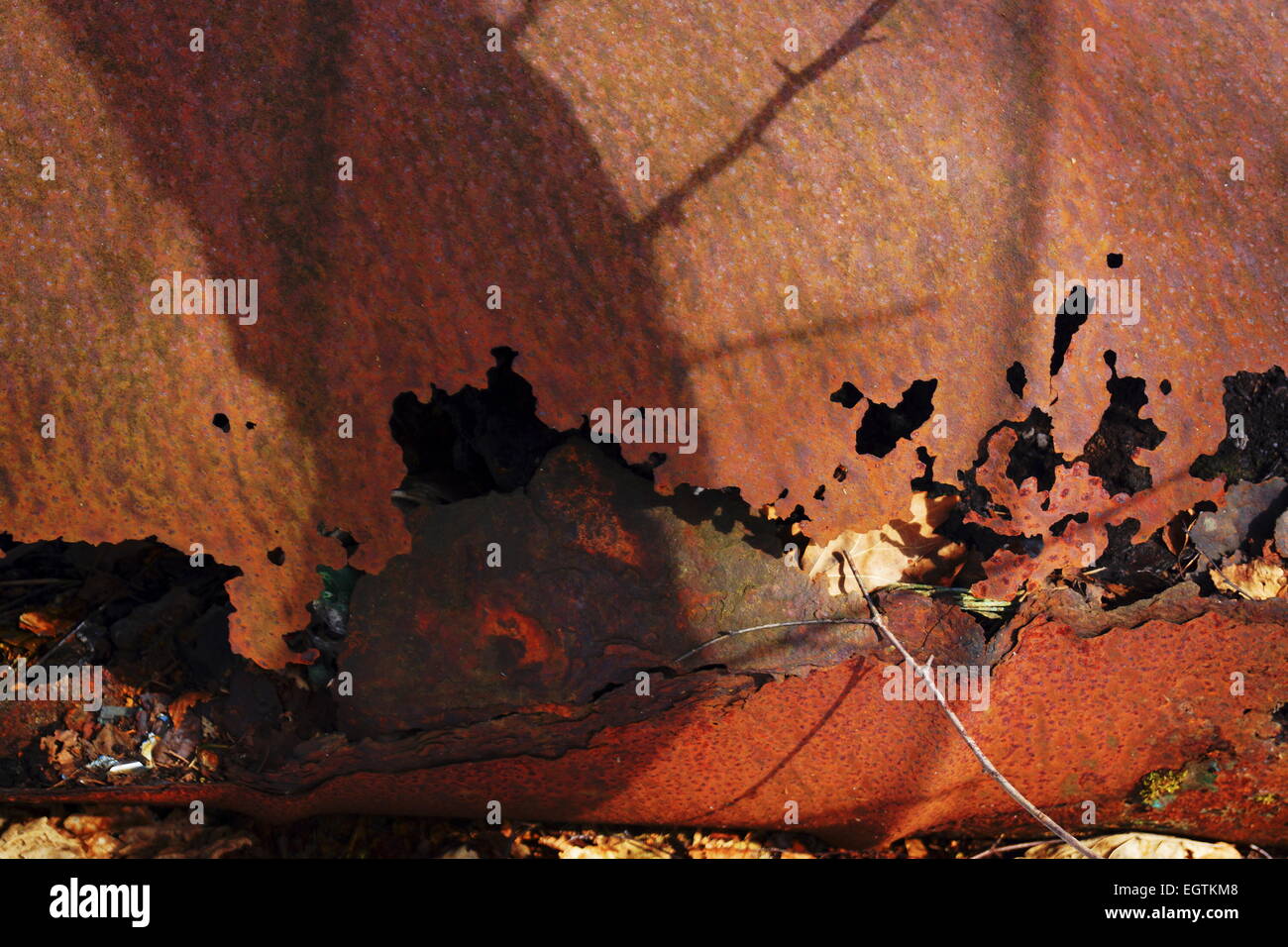 Rusty old oil drum disposed of in woods, left to rust away Stock Photo ...