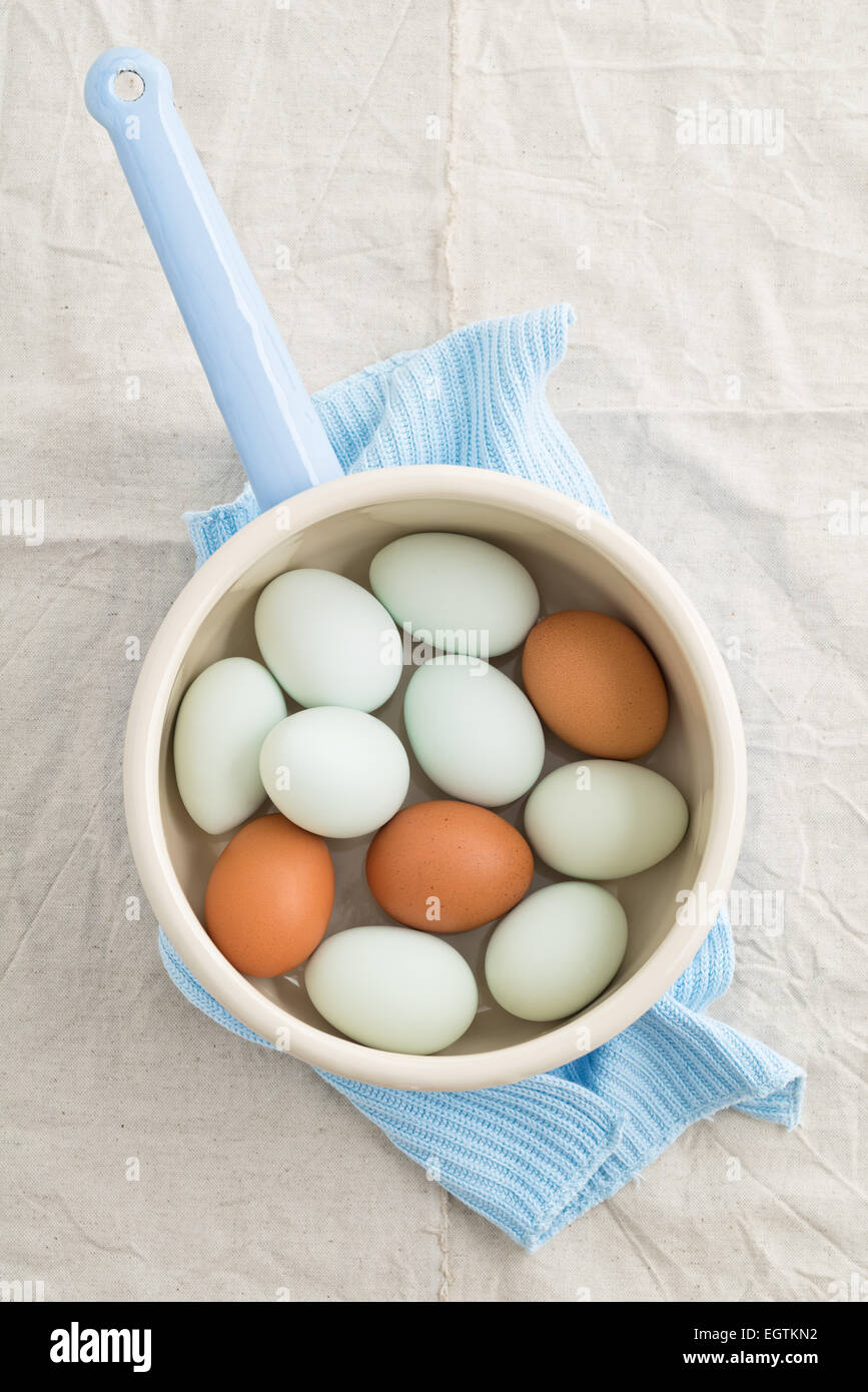 Fresh light green eggs from Easter egger chicken and brown eggs in a ...