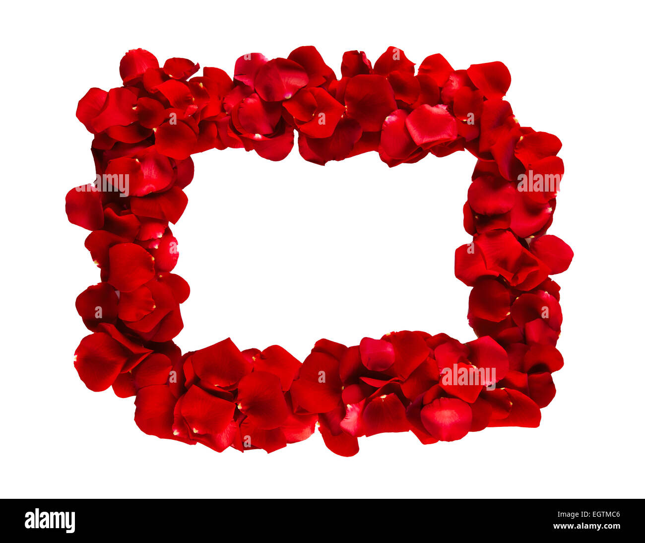 Frame of red rose petals isolated on white background Stock Photo - Alamy