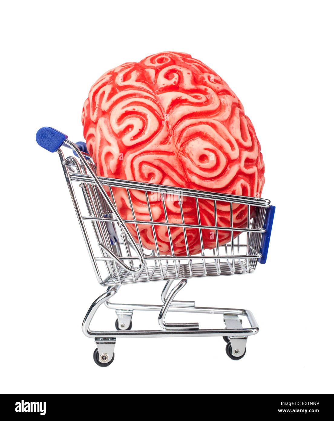 Human rubber brain in the shopping cart on white background Stock Photo ...
