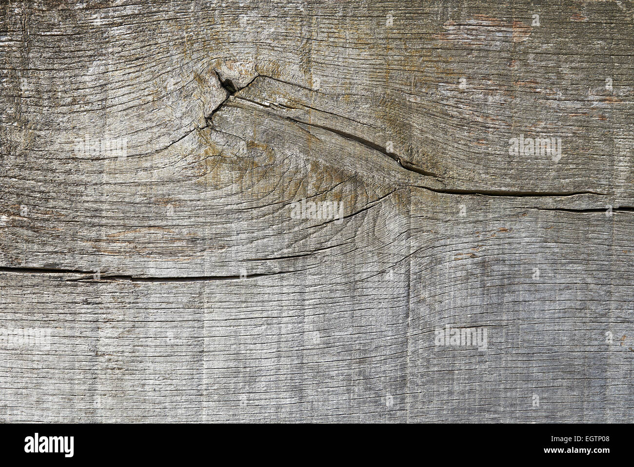 Wood and node texture background Stock Photo - Alamy