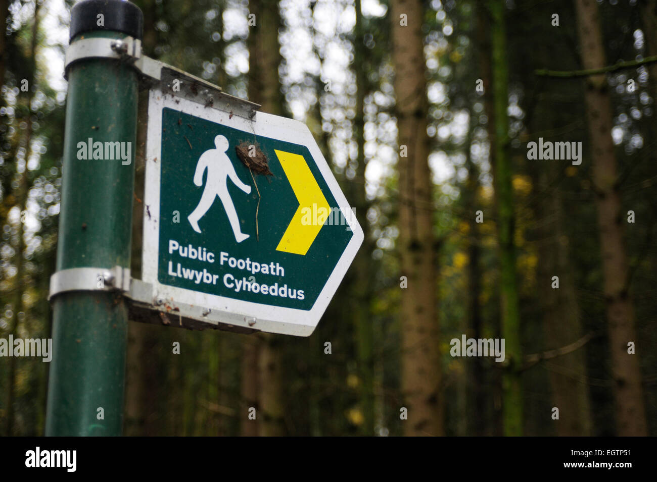 English - Welsh bilingual footpath sign in North Wales Stock Photo - Alamy