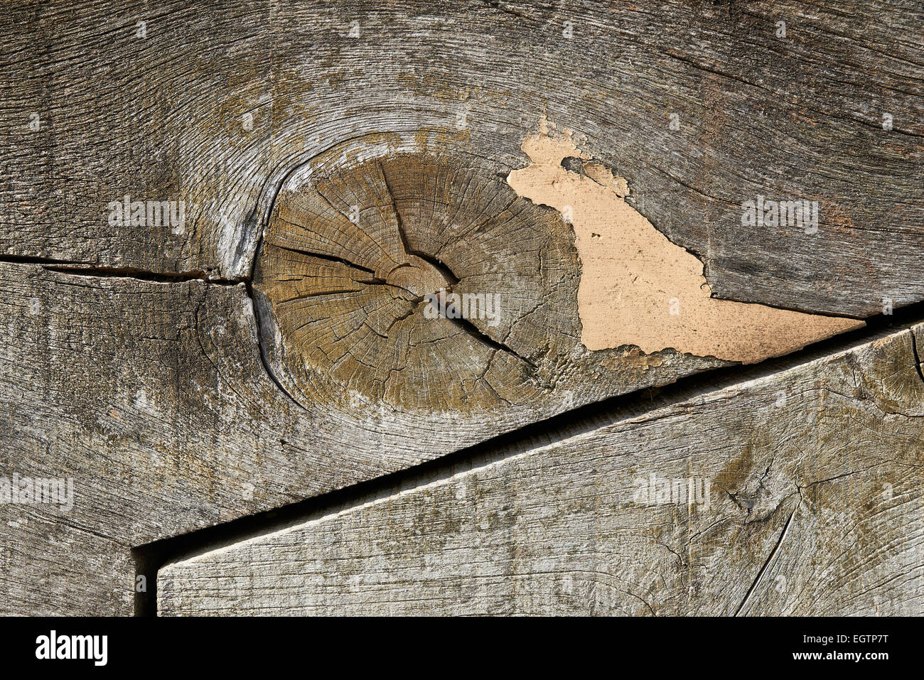 Wood and node texture background Stock Photo - Alamy