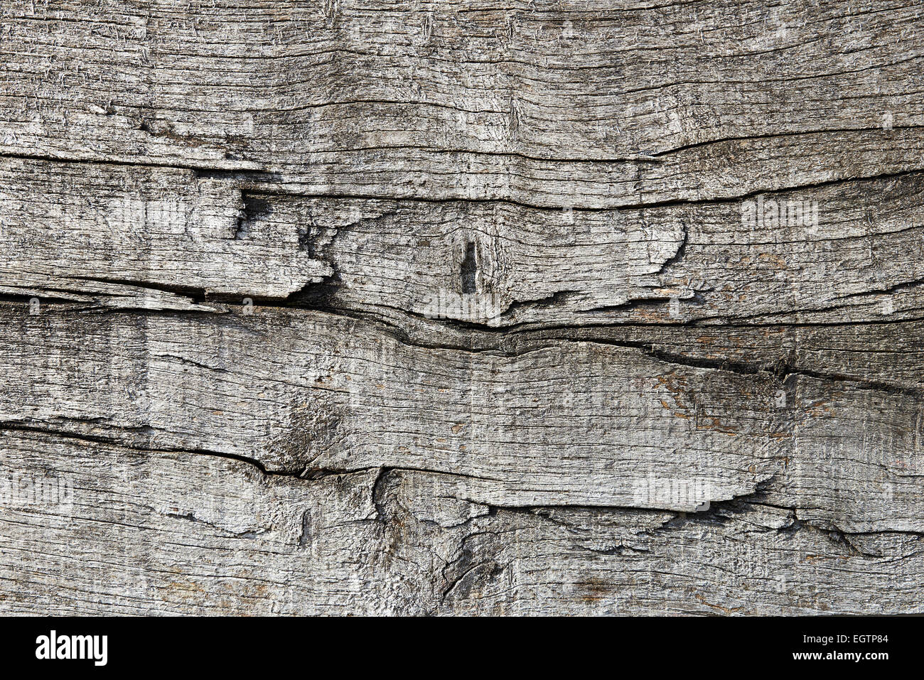 Wood and node texture background Stock Photo - Alamy